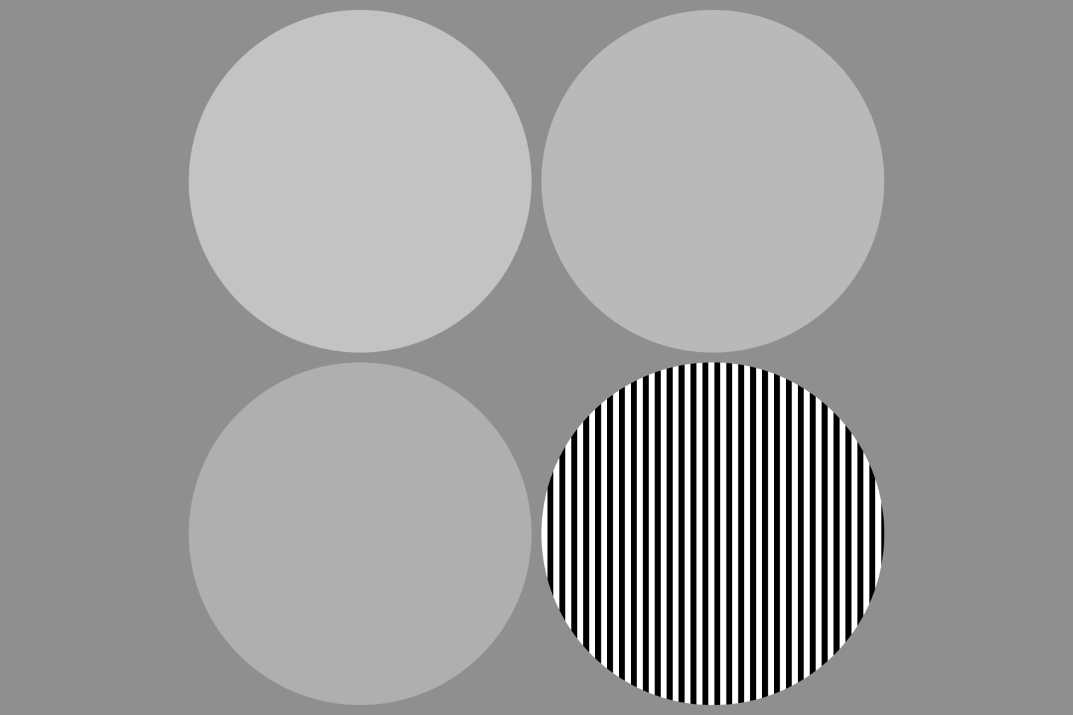 dive-ai-vision-screening